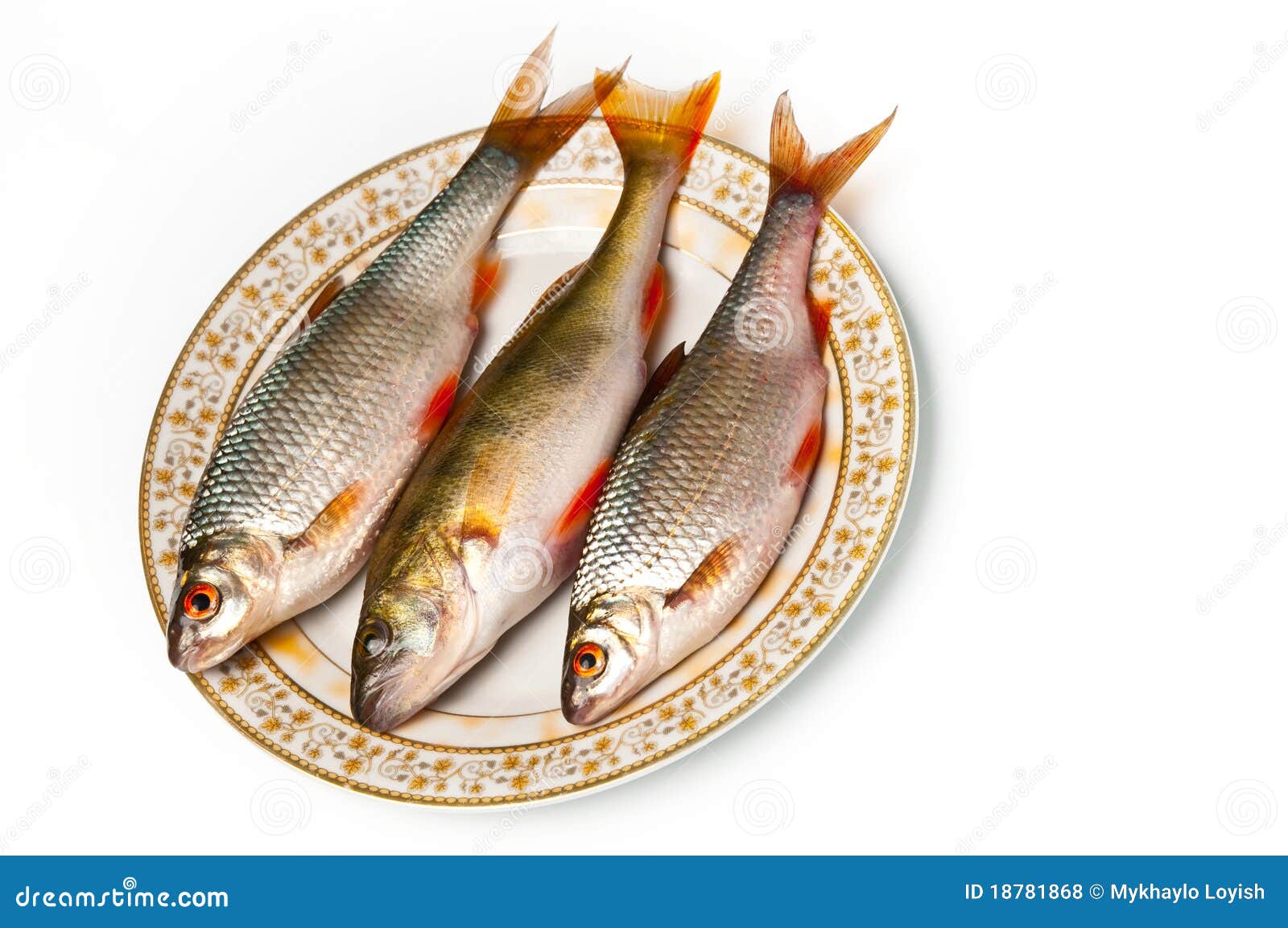 Fresh fish on plate stock photo. Image of diet, uncooked - 18781868
