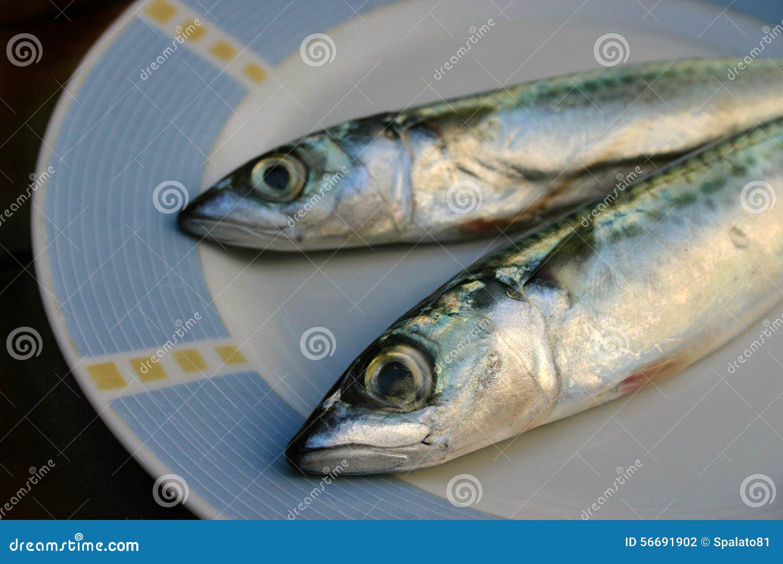 Fresh fish on the plate stock photo. Image of preparation - 56691902