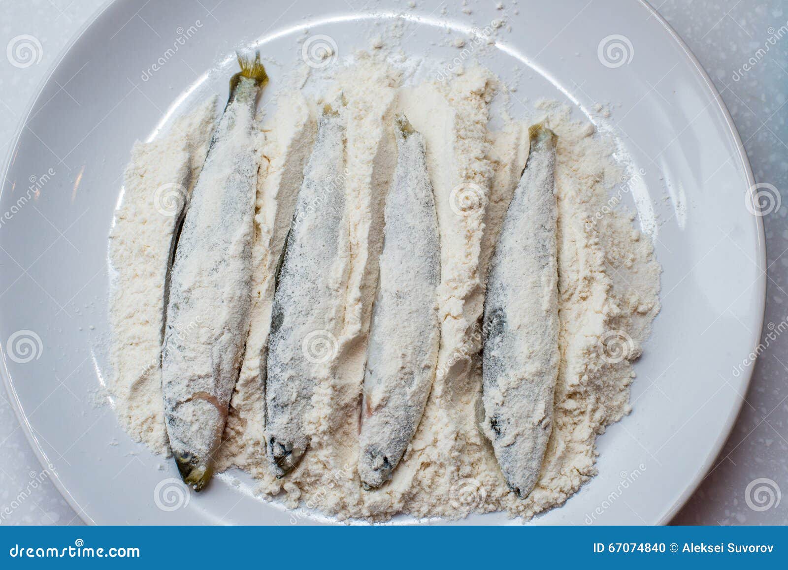 Fresh Fish in a Plate with Flour Stock Photo - Image of flour, dish ...
