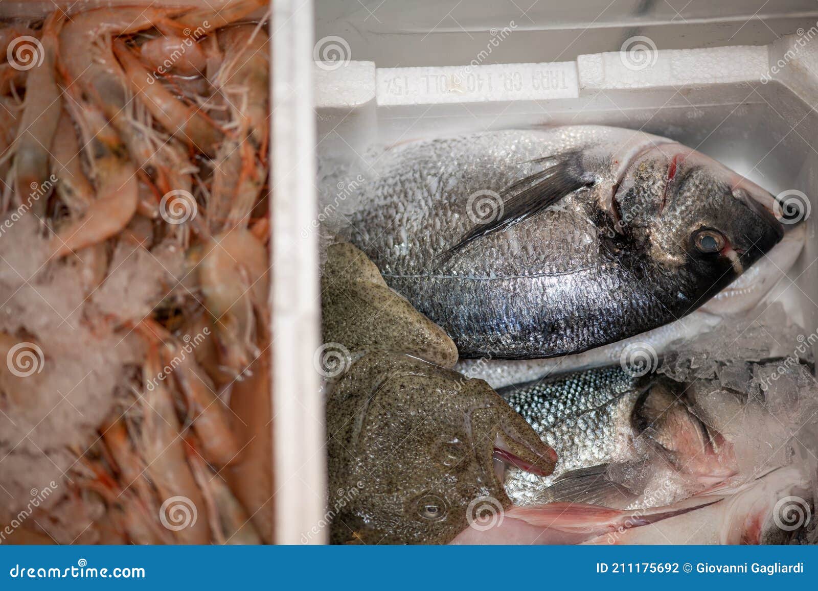 Fresh Fish in a Polystyrene Container Stock Photo - Image of closeup ...