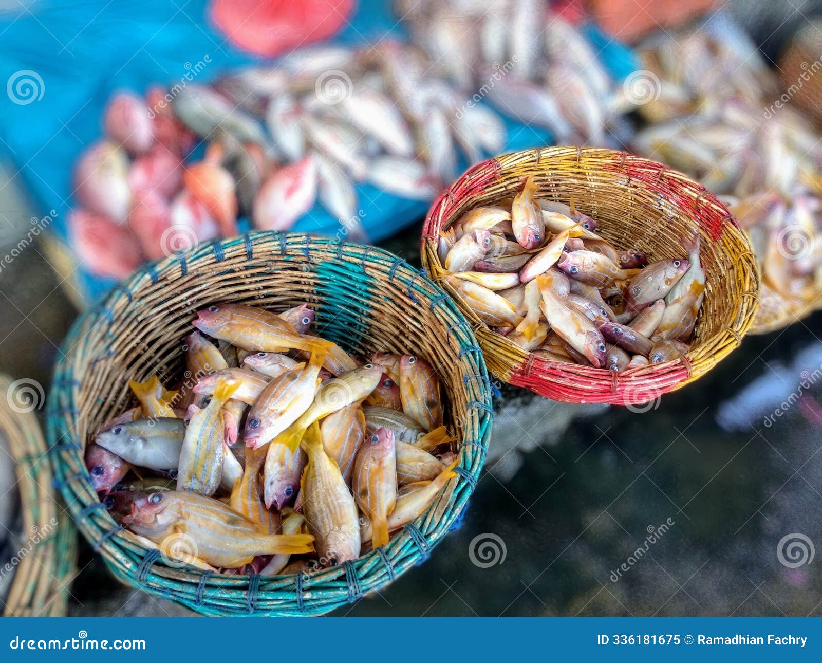 Fresh Fish in Rattan Baskets Stock Image - Image of fresh, fish: 336181675