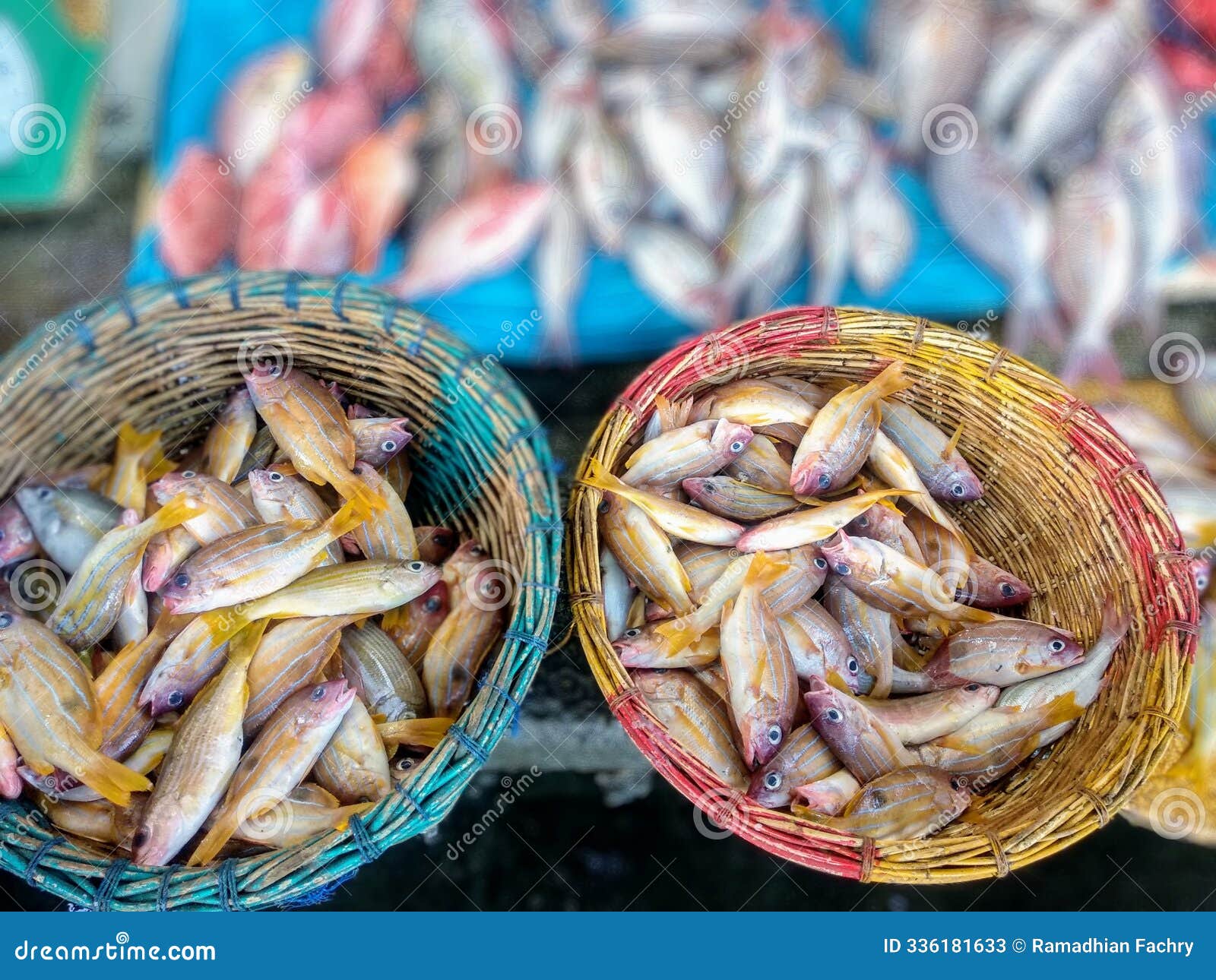 Fresh Fish in Rattan Baskets in the Morning Stock Image - Image of meal ...