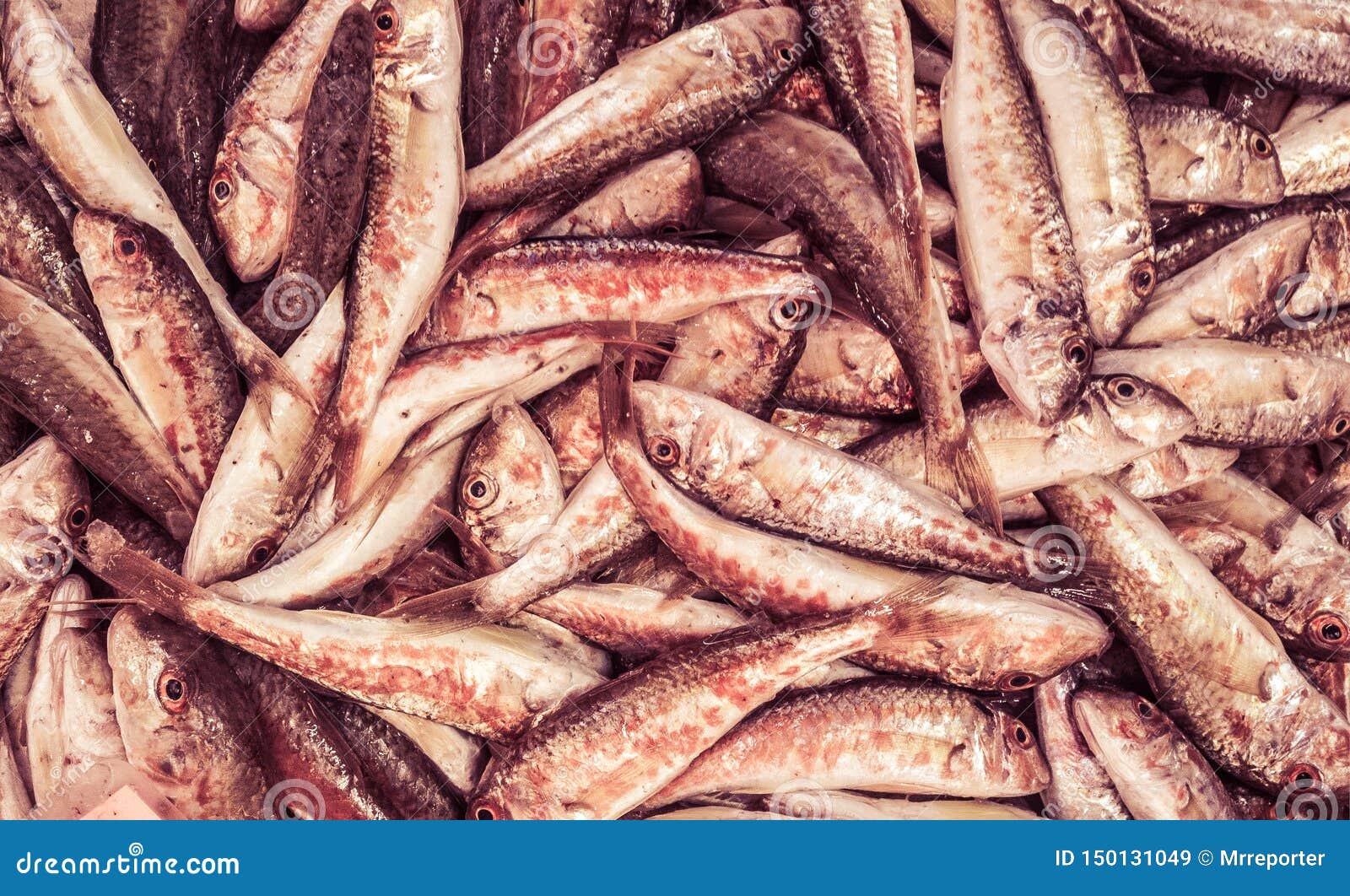 Mullet Roe In Production Process Royalty-Free Stock Photo ...