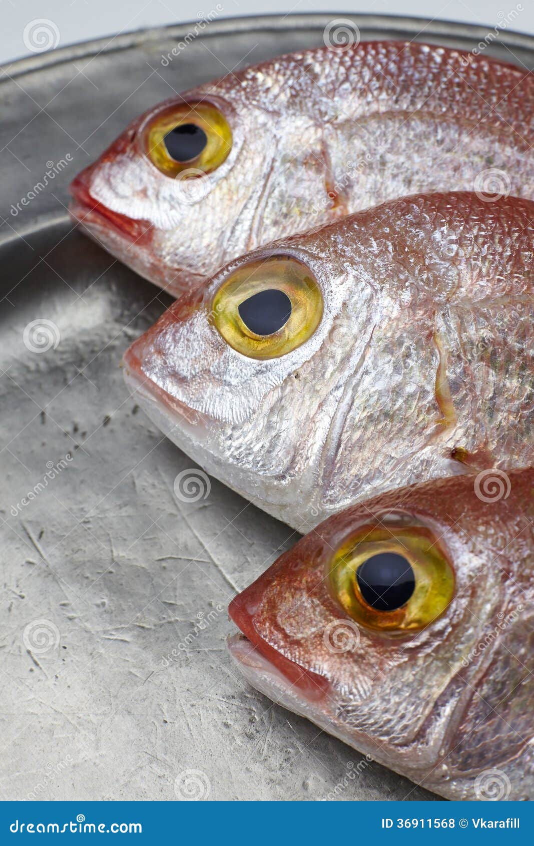 Fresh fish, red snapper stock photo. Image of food, seafood - 36911568
