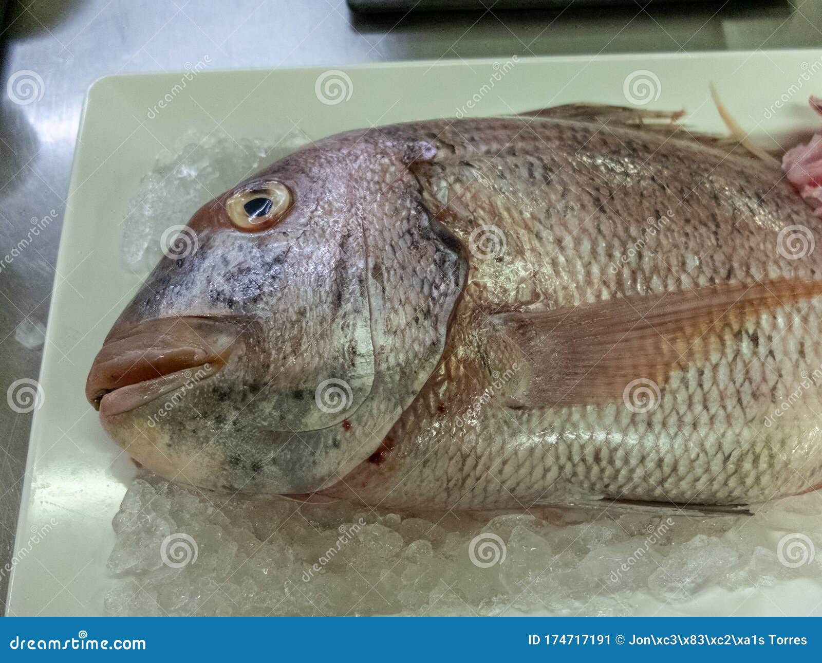 Fresh Fish in Restaurant Kitchen Stock Image - Image of kitchen, food ...