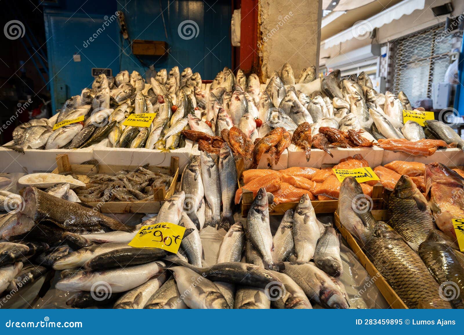 Fresh Fish Sale on the Market Stall Stock Image - Image of fish, izmir ...