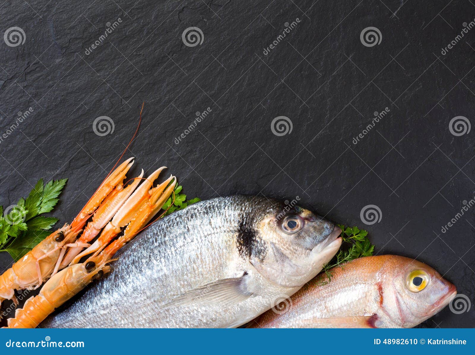 Fresh fish and seafood stock photo. Image of dorado, natural - 48982610