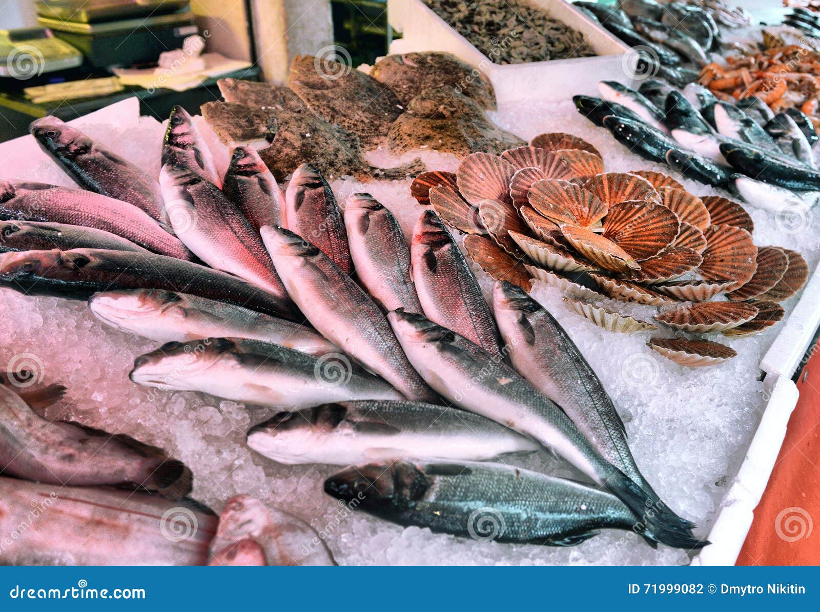 Fresh Fish and Seafood on Display Stock Photo - Image of fish, shop ...