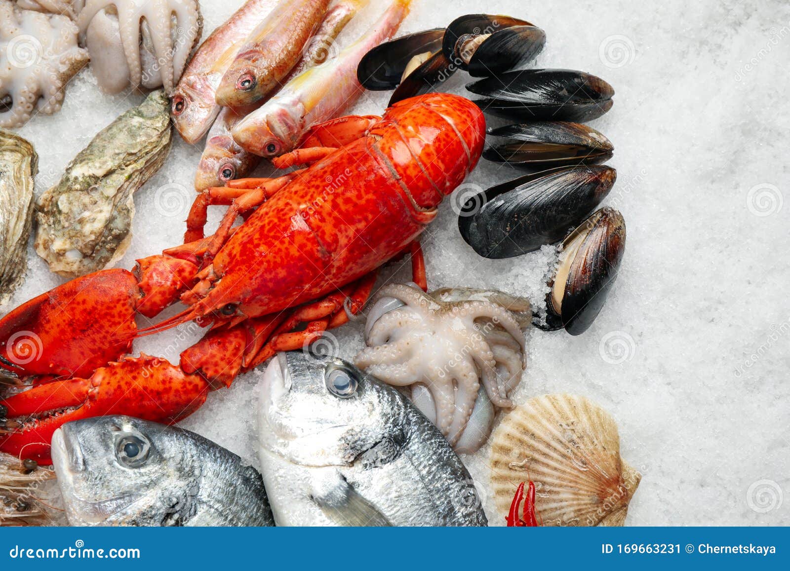 Fresh Fish and Seafood on Ice Stock Image - Image of mussels, dorada ...