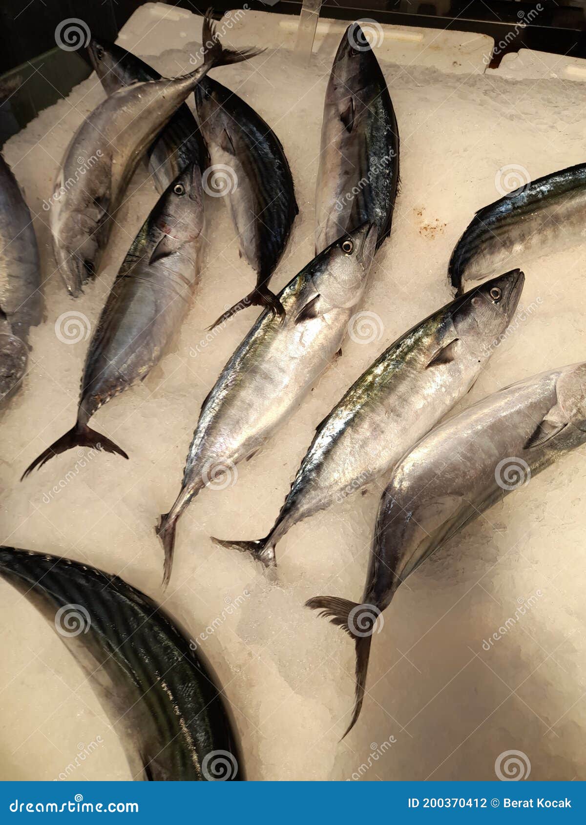 Fresh fish section stock photo. Image of food, seafood - 200370412