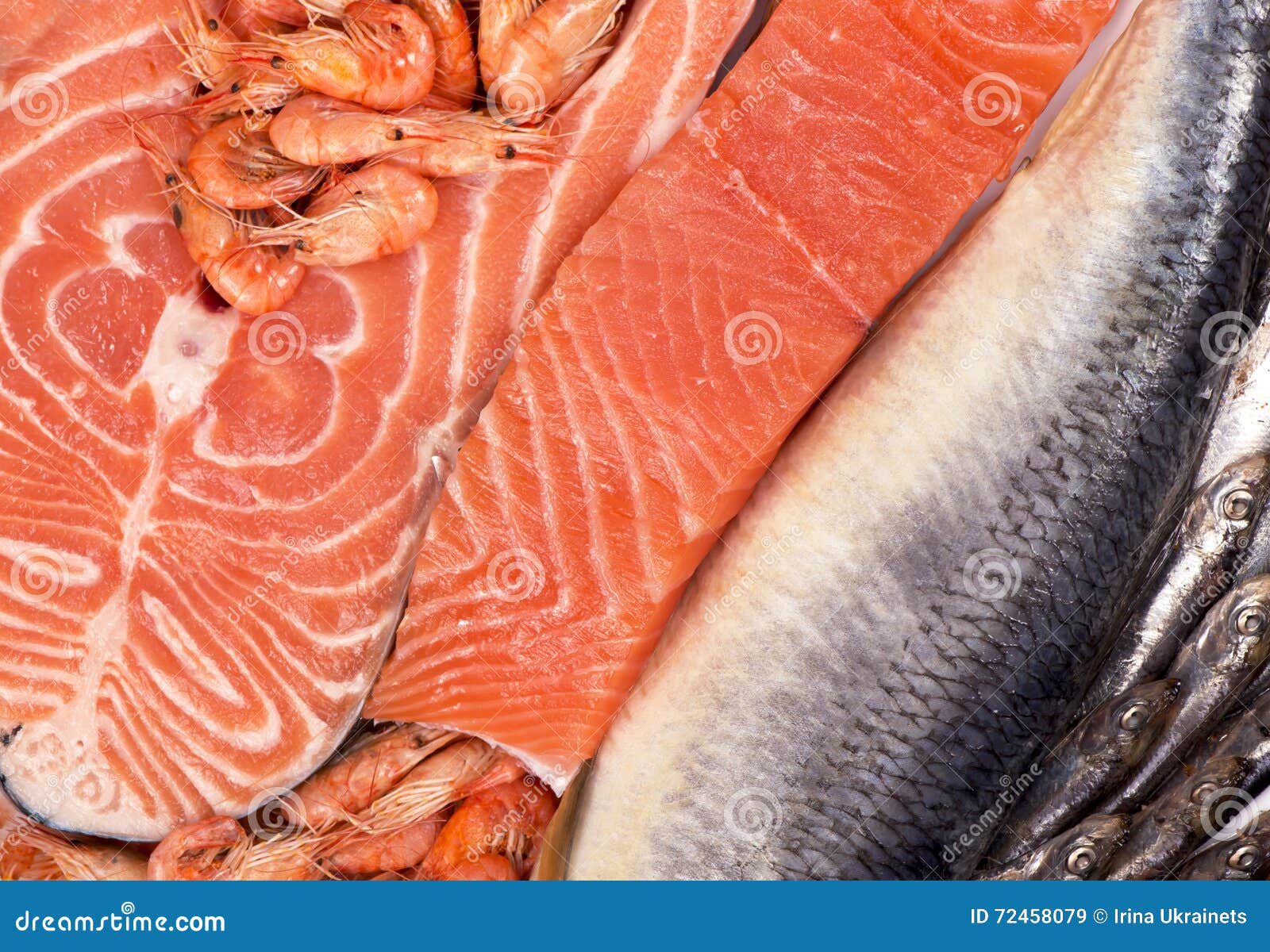 Fresh fish and shrimp stock image. Image of bass, closeup - 72458079