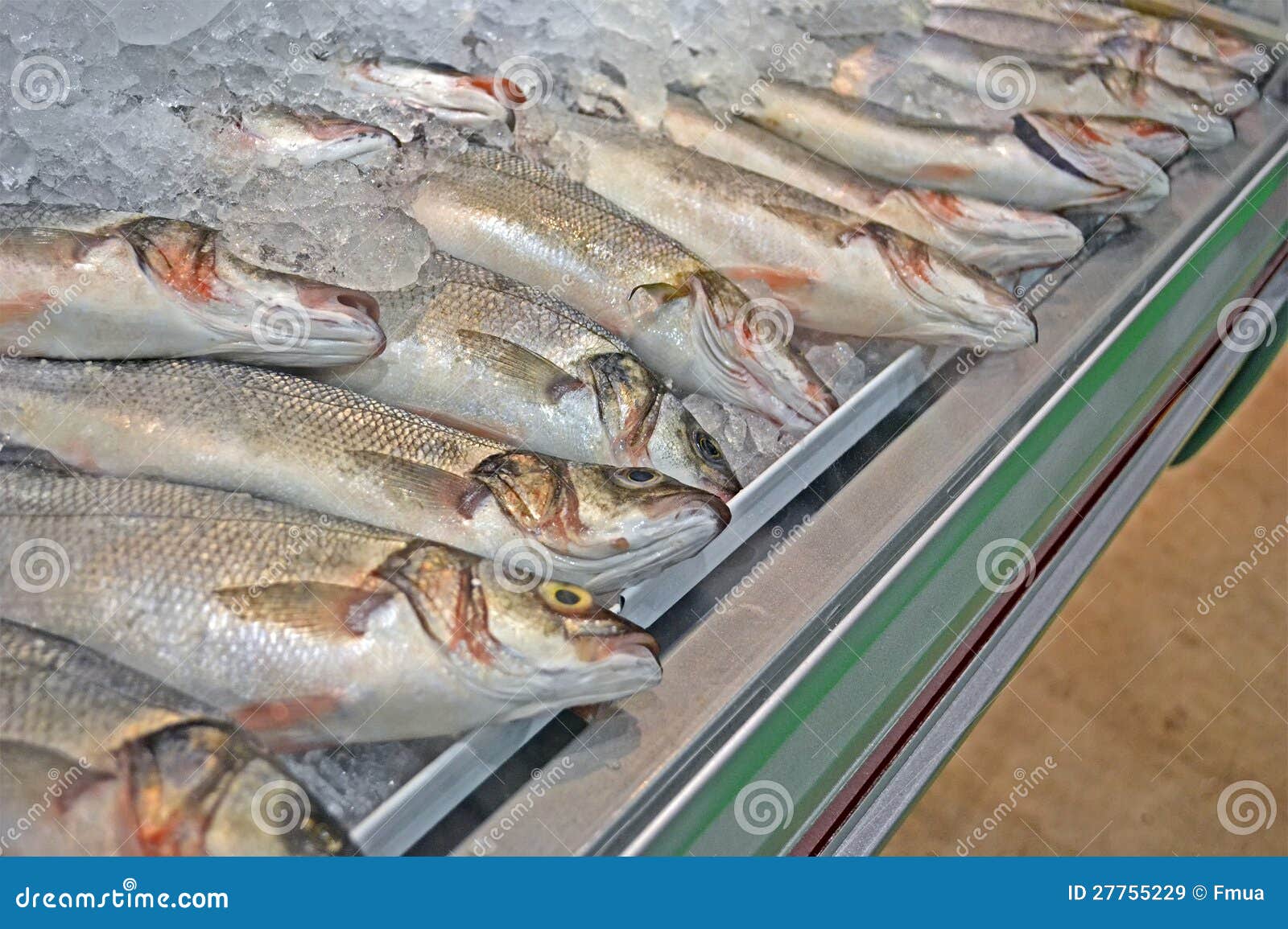 Fresh Fish with Silver Scales, Flippers Under Ice, Glass Shopwindow ...