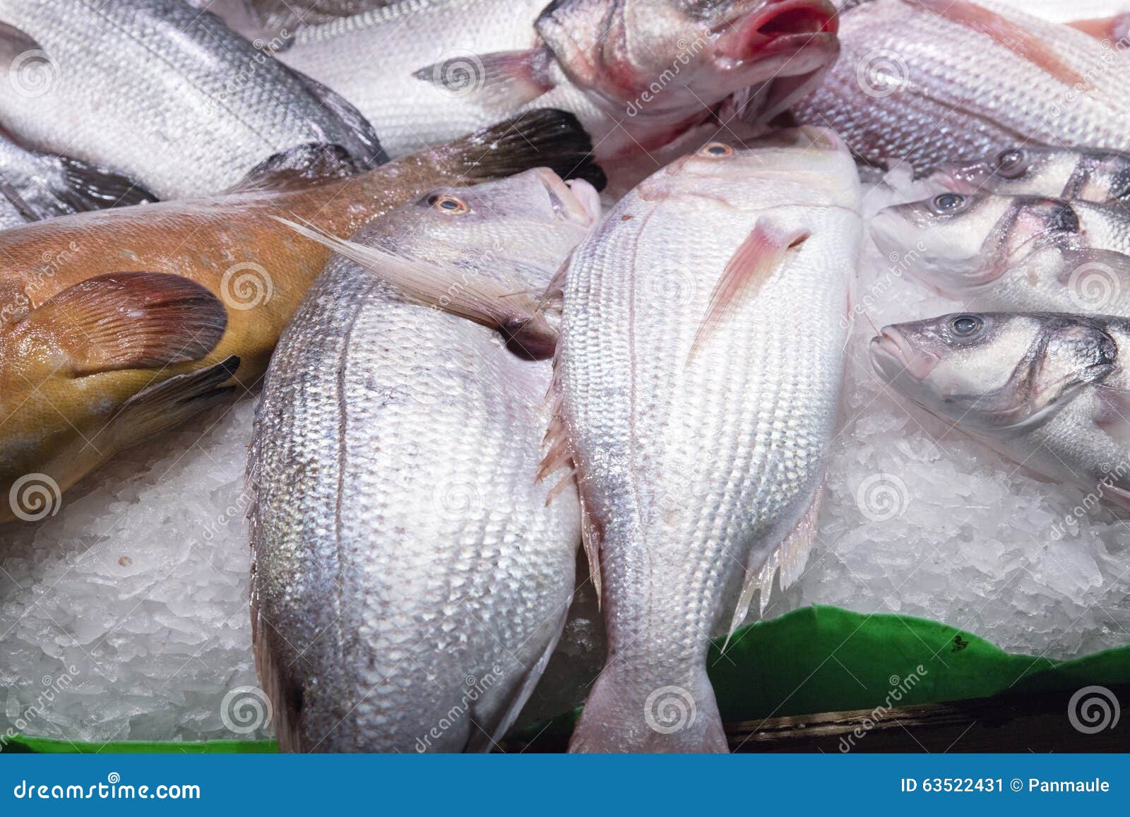 Fresh Fish in a Spanish Market Stock Image - Image of caught, healthy ...