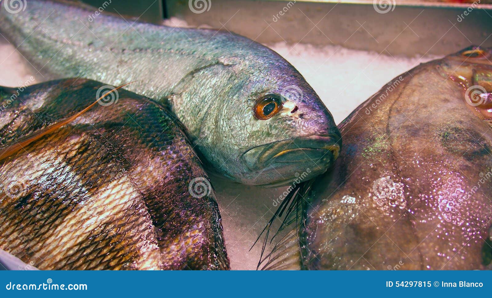 Fresh Fish at Spanish Seafood Market Stock Image - Image of dish, fish ...