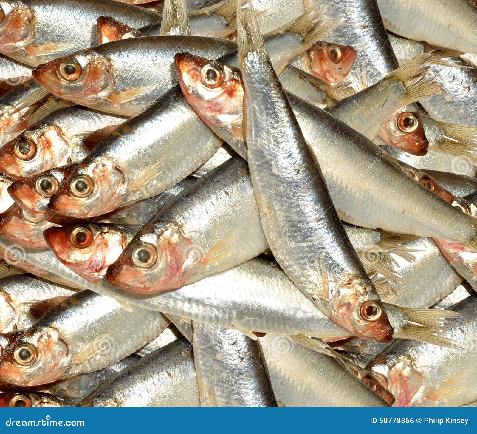 Fresh Fish Sprat Background Stock Photo - Image of head, fresh: 50778866