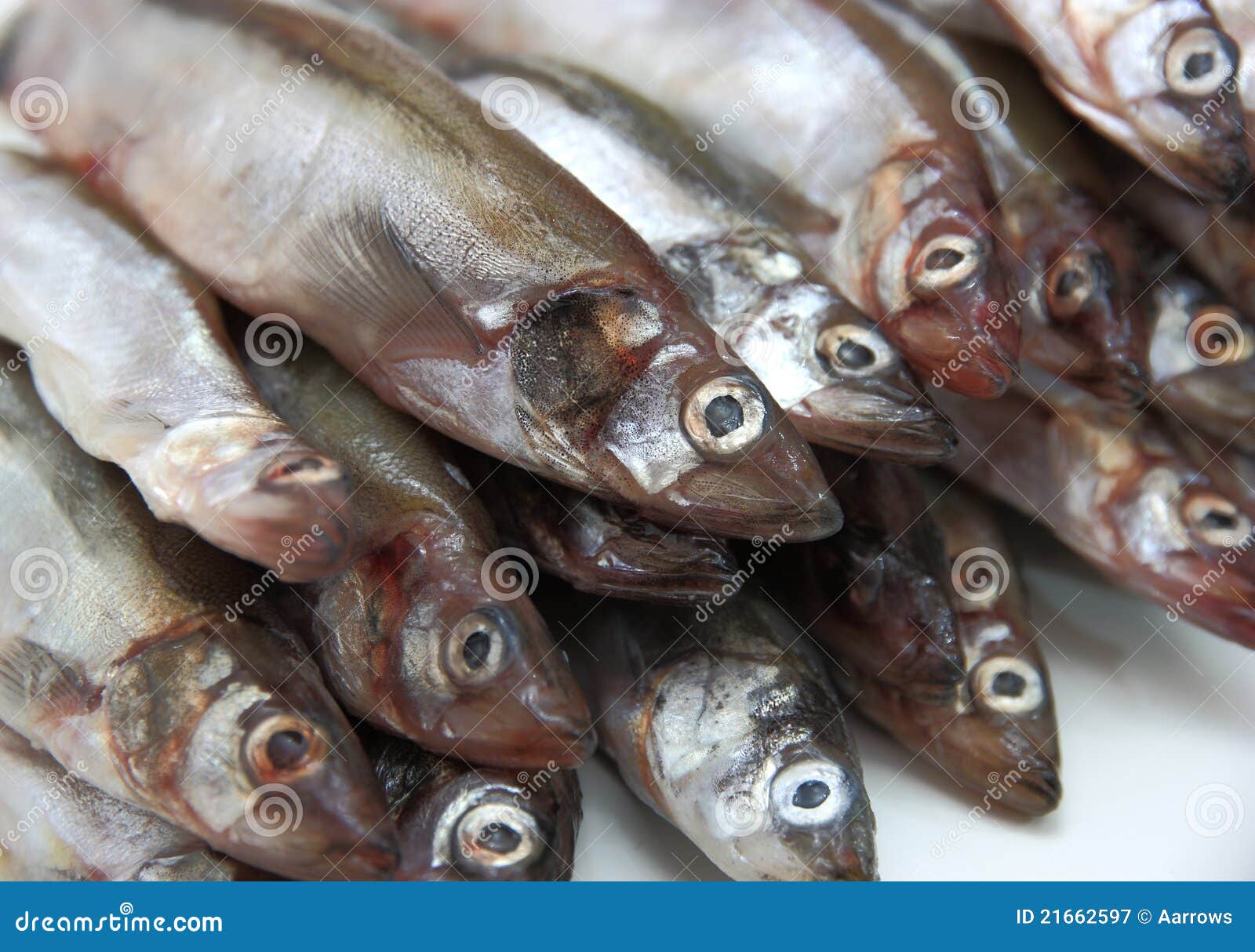 Fresh fish sprats stock image. Image of protein, closeup - 21662597