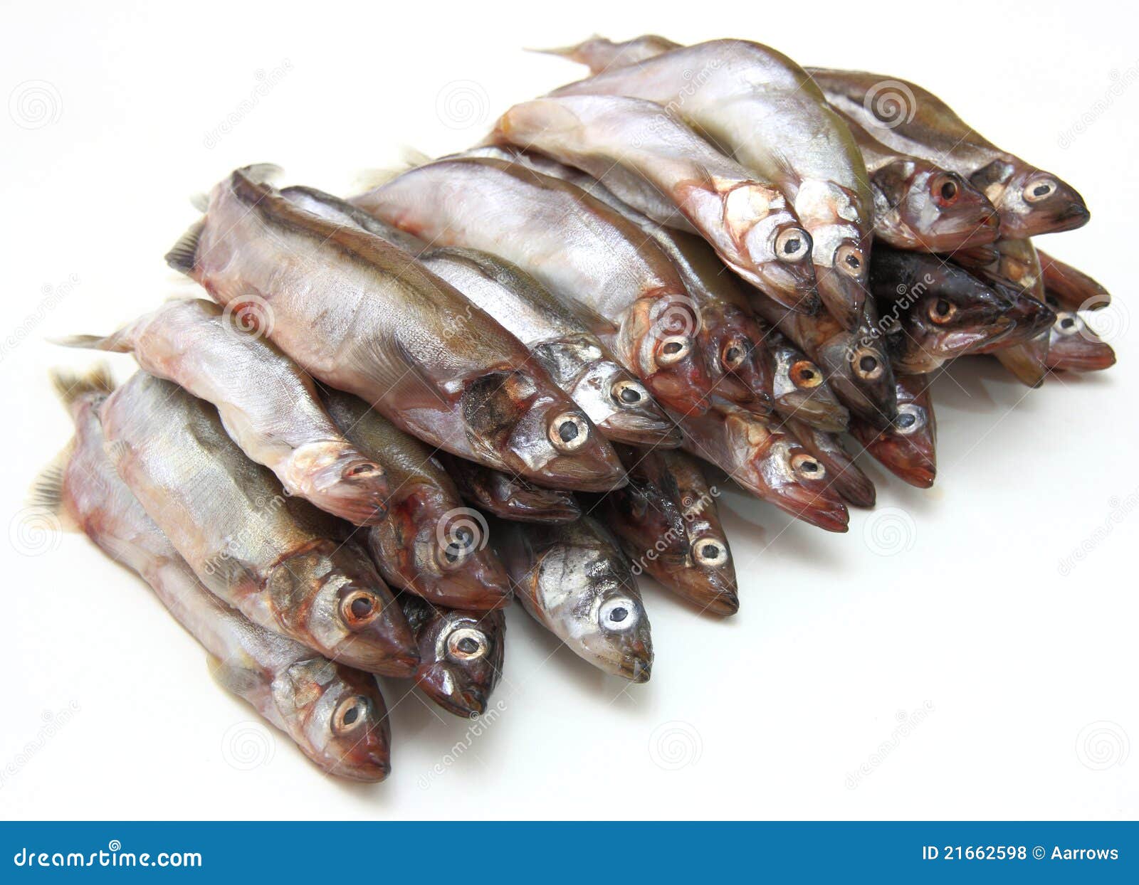 Fresh fish sprats stock photo. Image of grey, mediterranean - 21662598