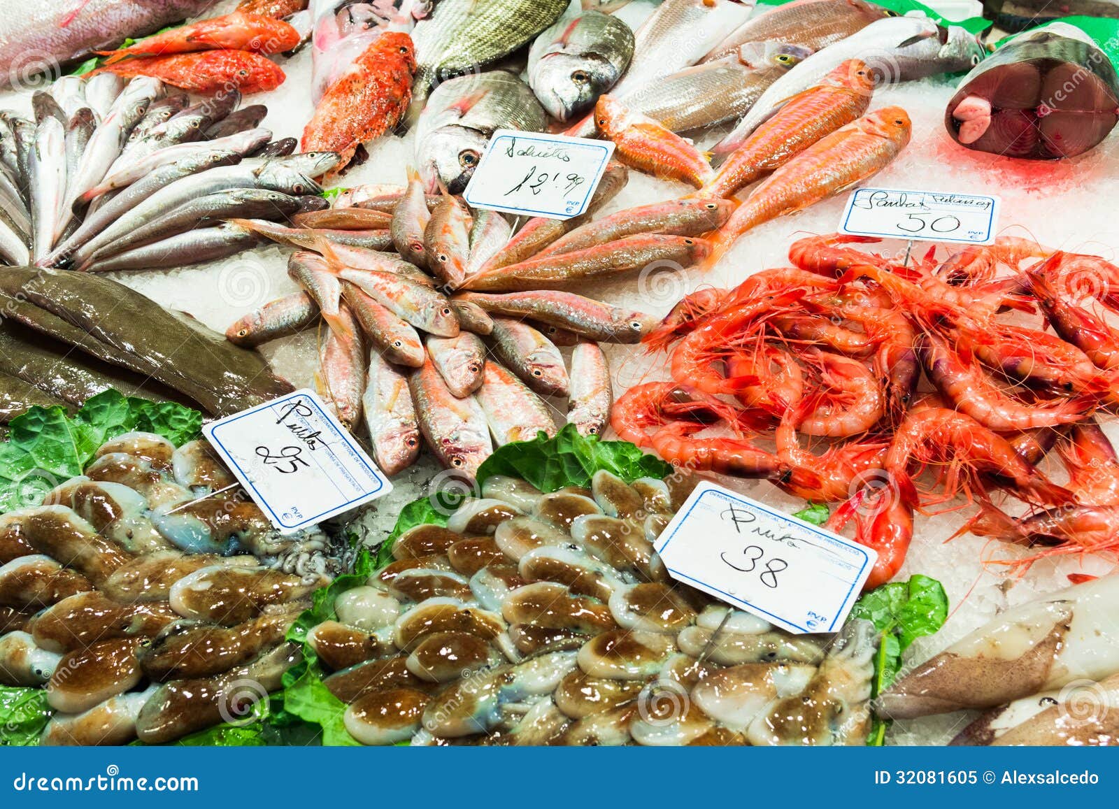 Fresh fish stall stock image. Image of bass, marketplace - 32081605