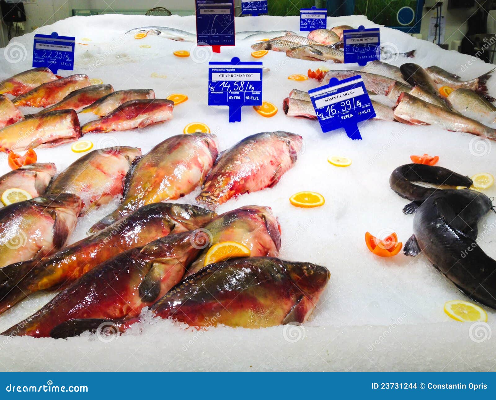 Fish Stand In A Supermarket. Squid Shrimp Red Mullet. Fish In Ice ...