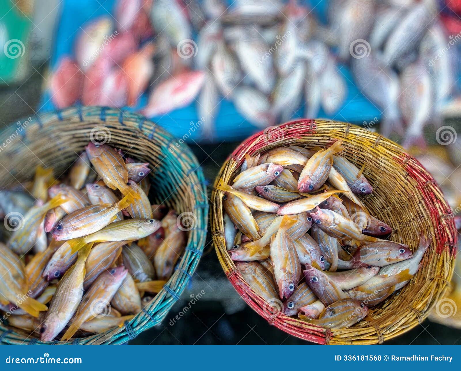 Fresh Fish Stored in Rattan Baskets Stock Photo - Image of animal ...