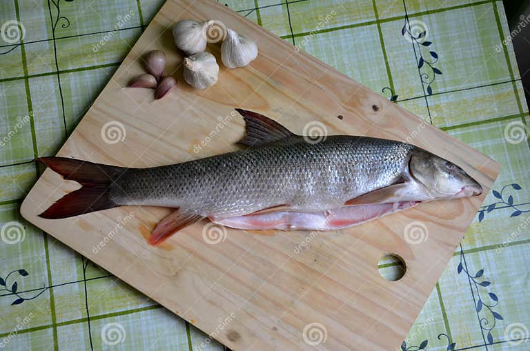Fresh Fish on the Table (barbel) Stock Photo - Image of board, diet ...