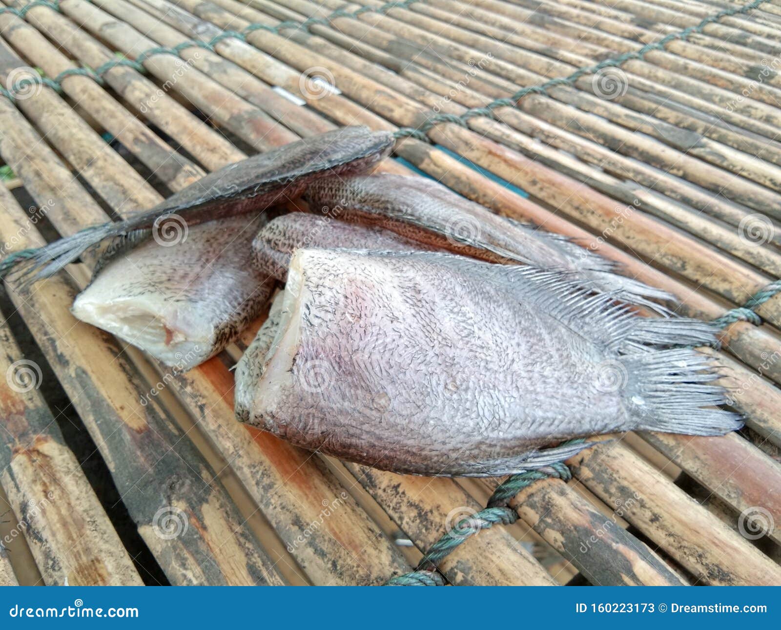 Fresh fish on the table stock image. Image of beautiful - 160223173