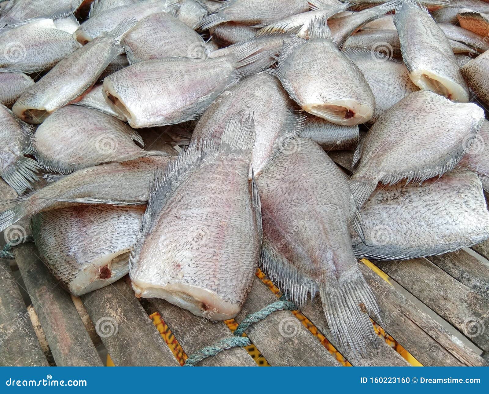 Fresh fish on the table stock photo. Image of order - 160223160