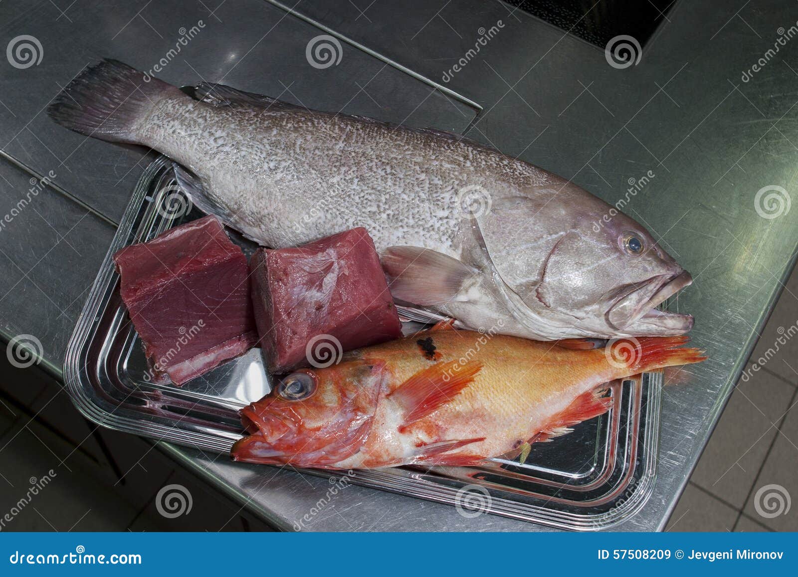 Fresh Fish on a Tray Prepared for Frying Stock Image - Image of chef ...