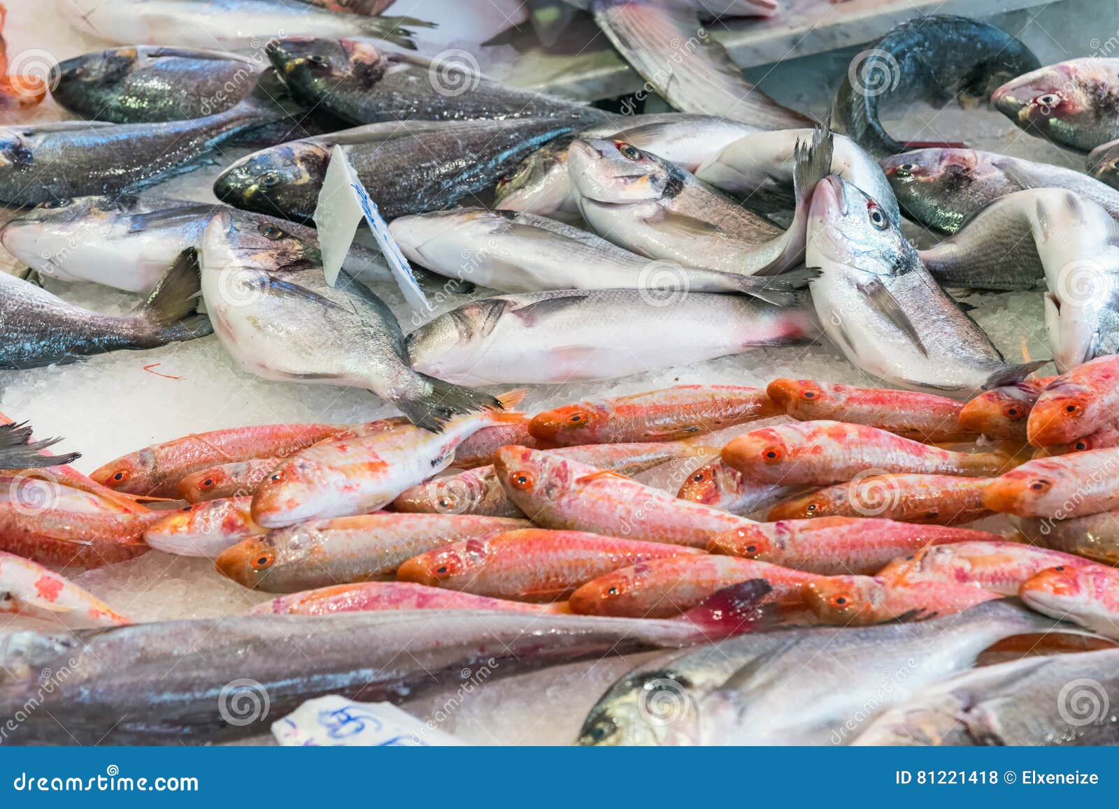 Fresh Fish at the Vucciria Market in Palermo Stock Photo - Image of ...