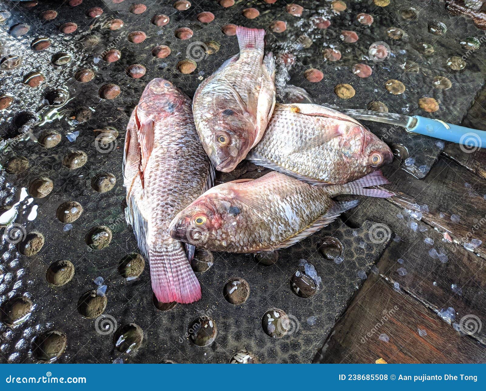 Fresh Fish is Washed with Water before Cooking. Stock Photo - Image of ...
