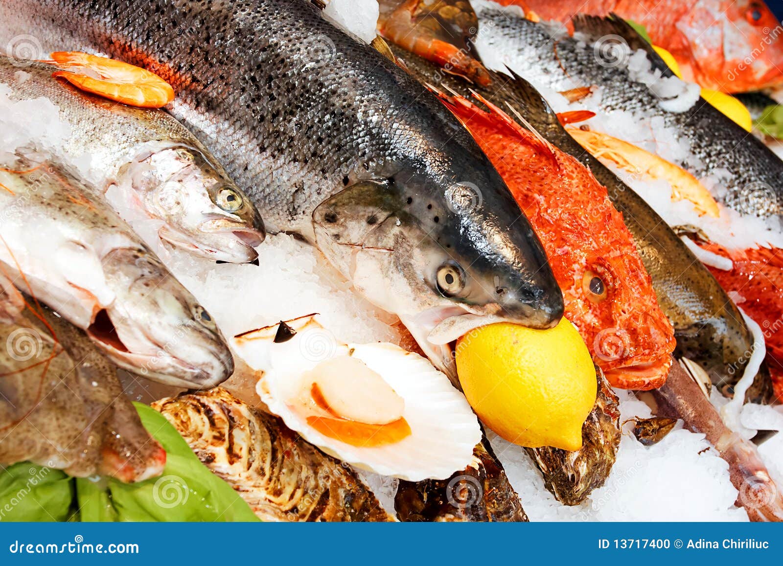 Fresh fishes stock photo. Image of occasion, elegant - 13717400