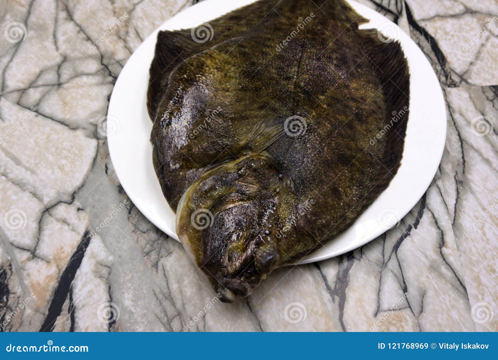 Fresh Fishes Flounder on White Background . Stock Image - Image of ...