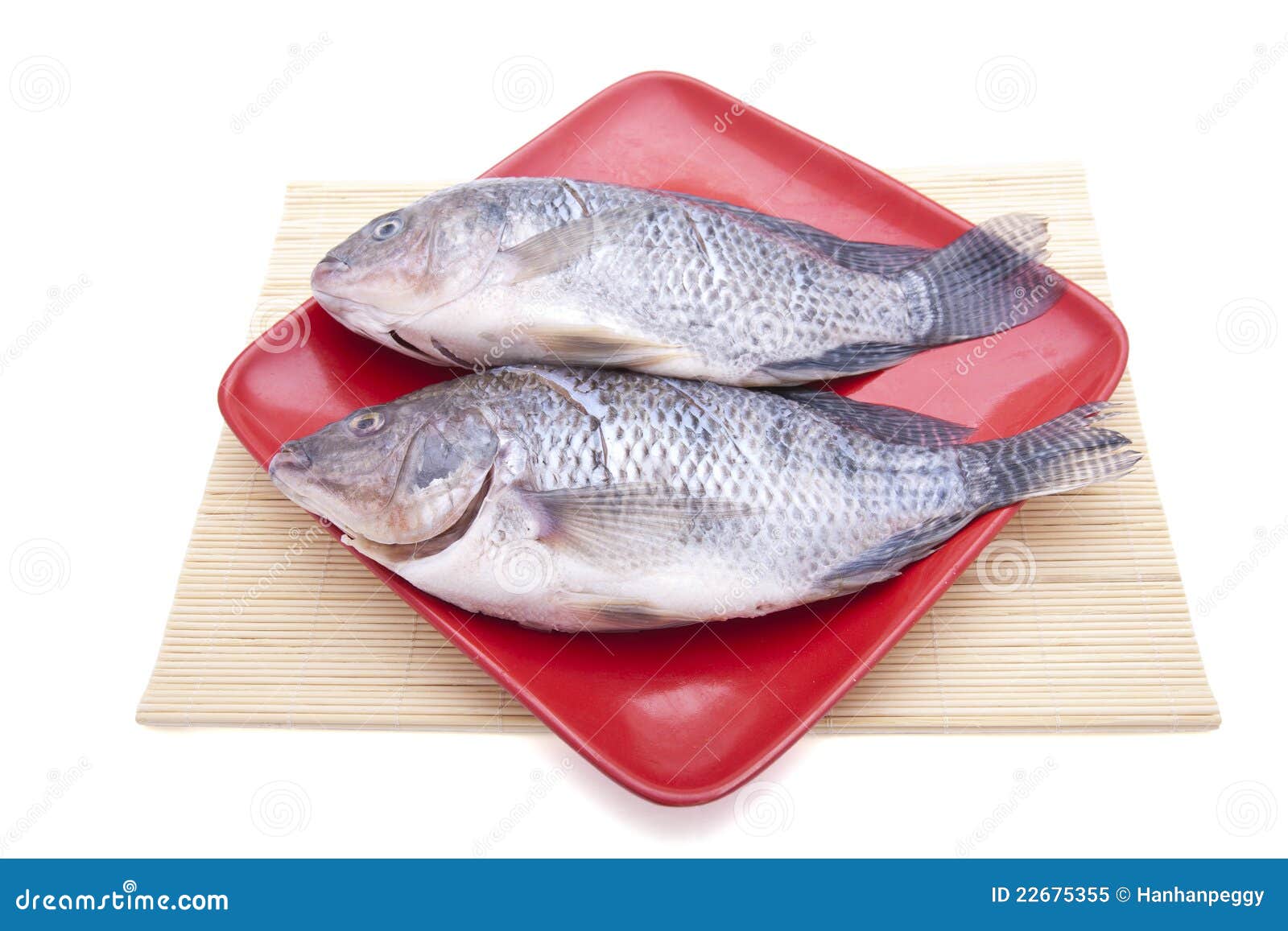Fresh fishes on plate stock image. Image of fish, plate - 22675355