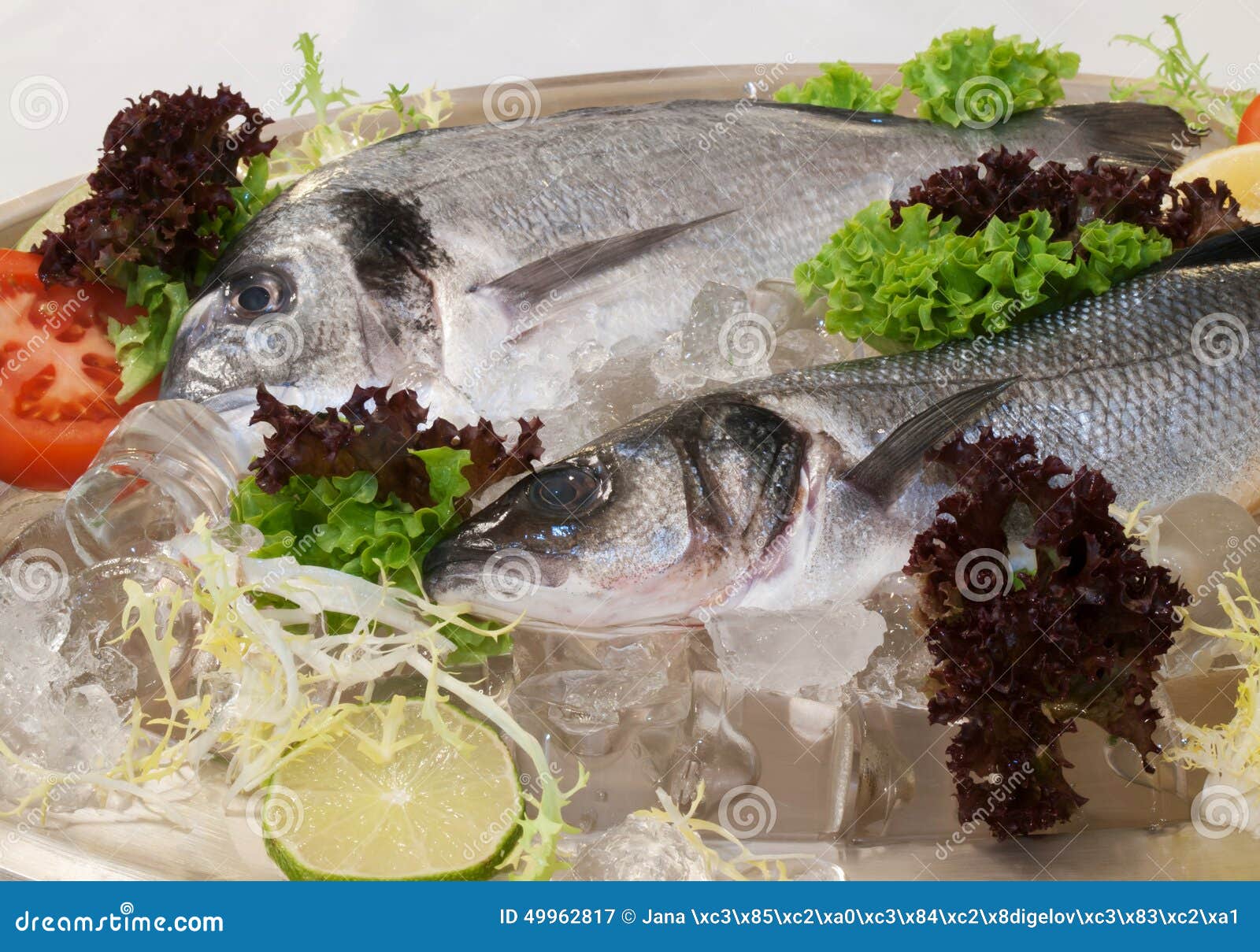 Fresh fishes on plate stock image. Image of citrus, meal - 49962817