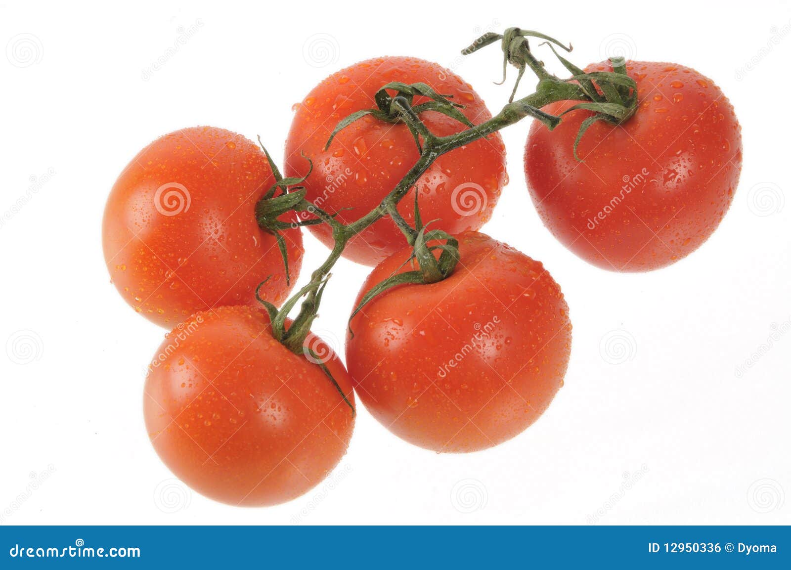Fresh five red tomatoes stock photo. Image of juicy, horizontal - 12950336