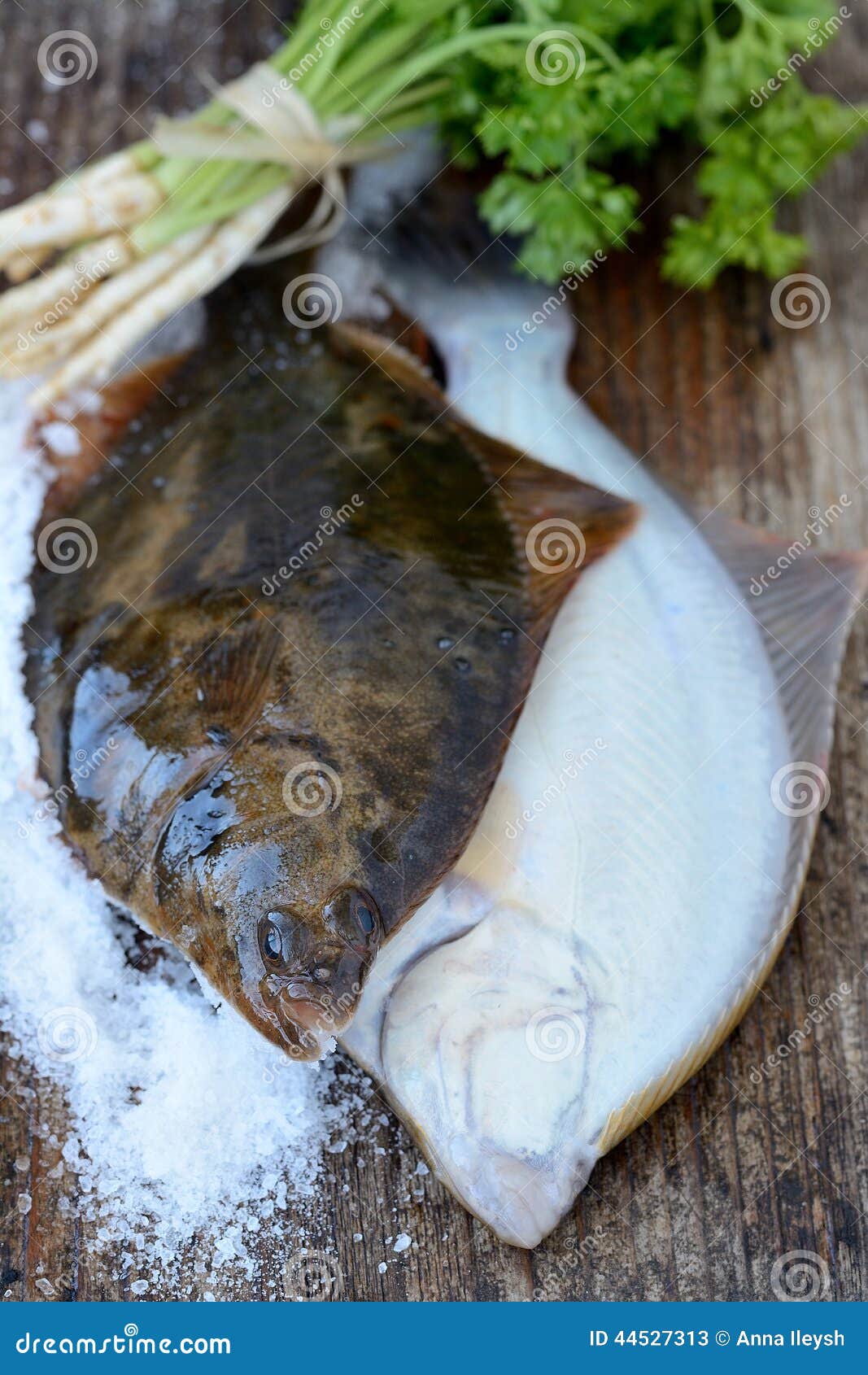 Fresh Flounder Fish on Salt Stock Image - Image of nutrition, seafood ...