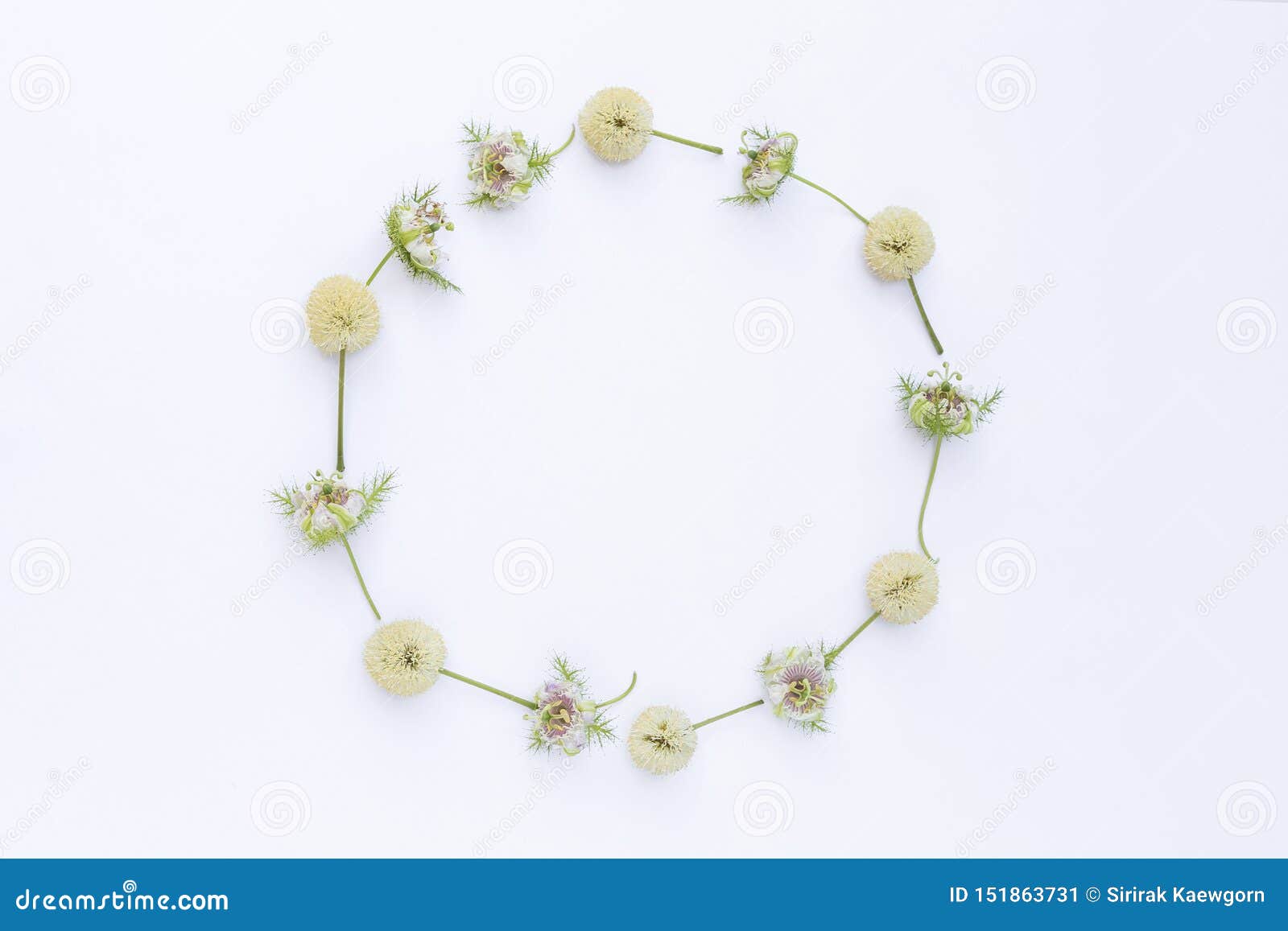 Fresh Flower Arrange in Round Frame Stock Image - Image of natural ...
