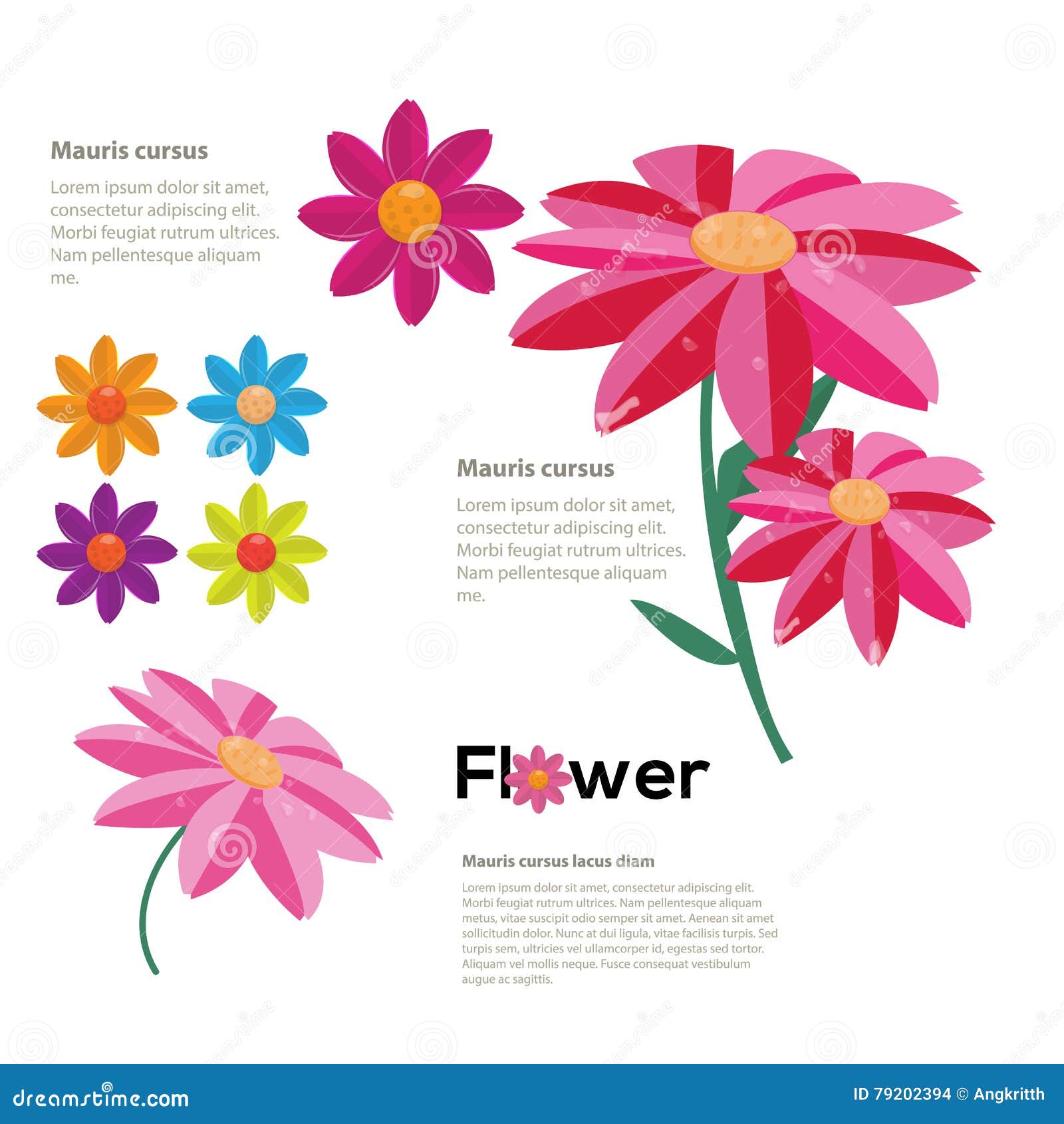 Fresh flower. infographic stock illustration. Illustration of botany ...