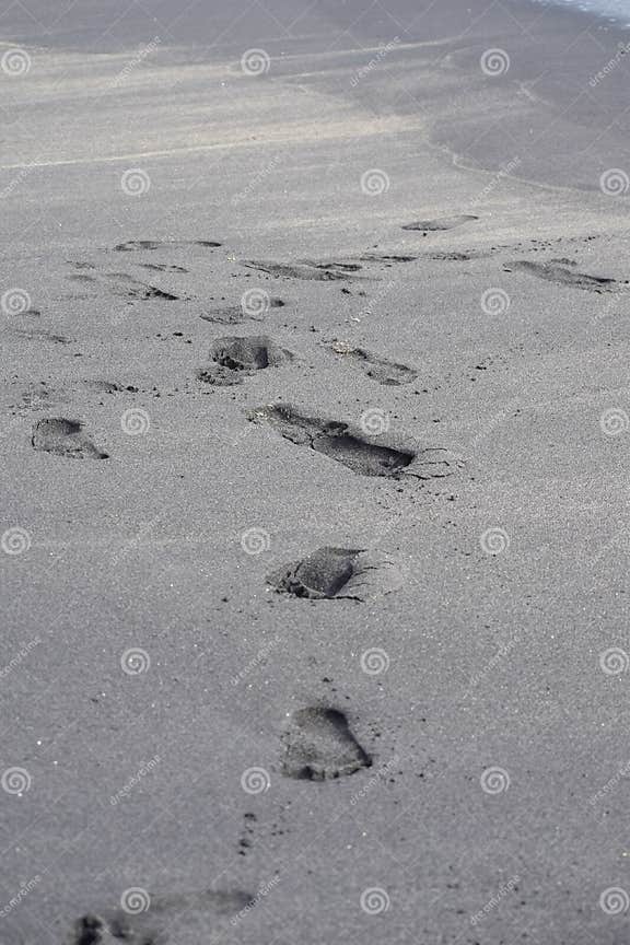 Footmarks on sand at beach stock photo. Image of baltic - 250975012
