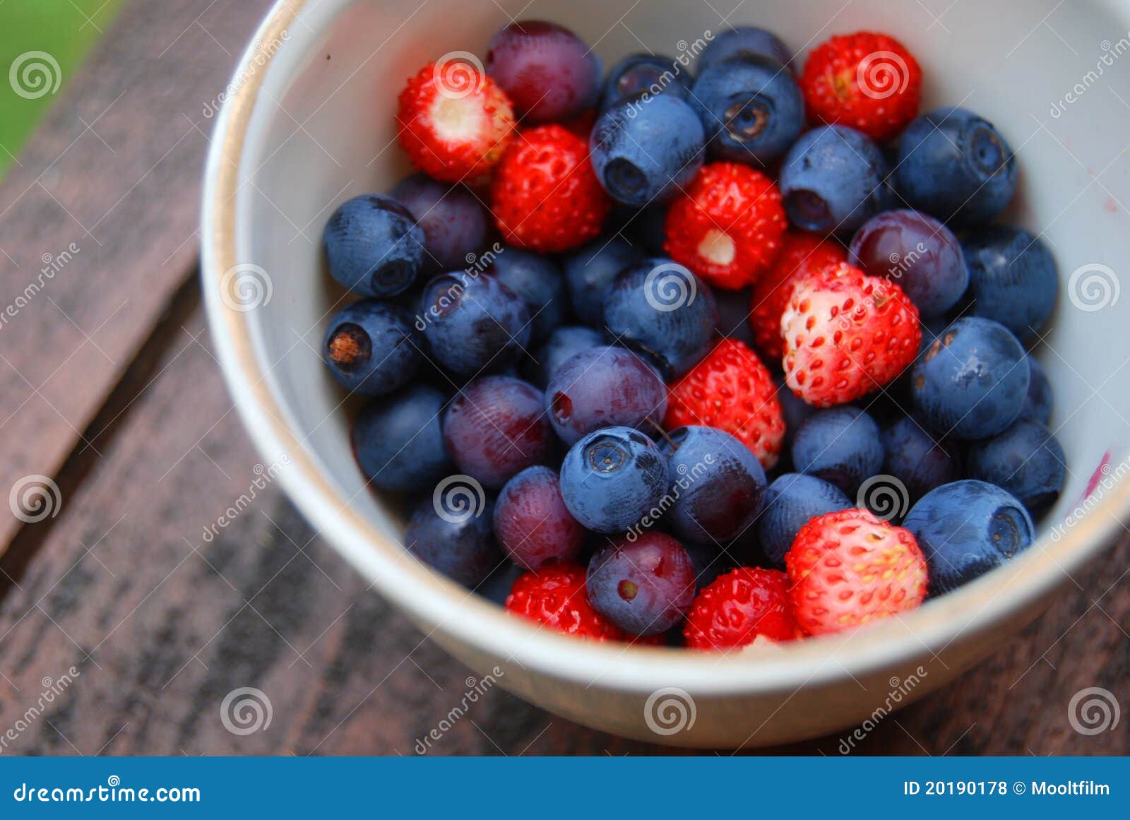 Fresh forest berries stock photo. Image of close, fresh - 20190178