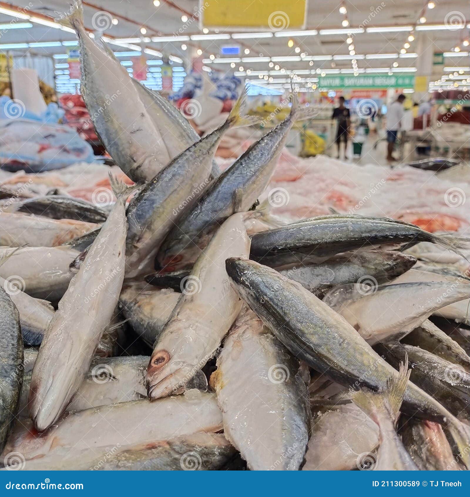 Fresh Frozen Fish stock image. Image of food, fish, frozen - 211300589