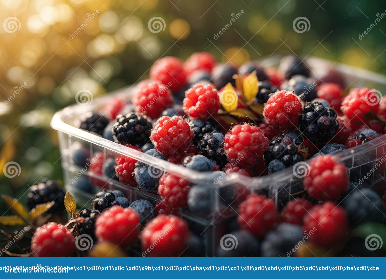 Fresh Frozen Forest Berries Closeup in Plastic Container. Ai Generative ...