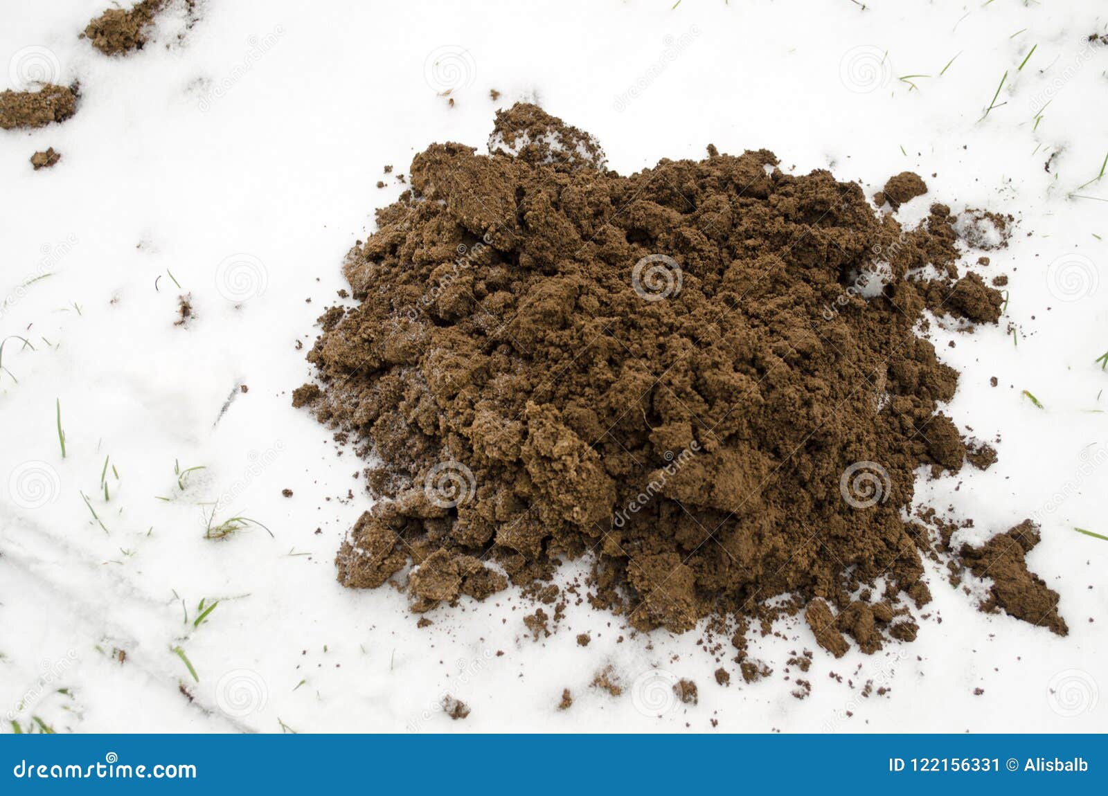 Fresh Frozen Mole Molehill on Winter Snow Stock Image - Image of dirt ...