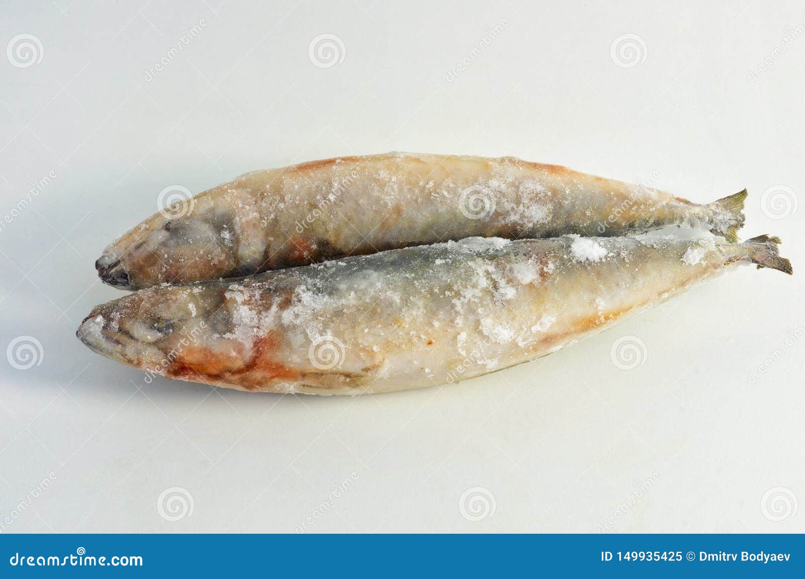 Fresh-frozen Ocean Fish Carcass Stock Image - Image of freshness ...