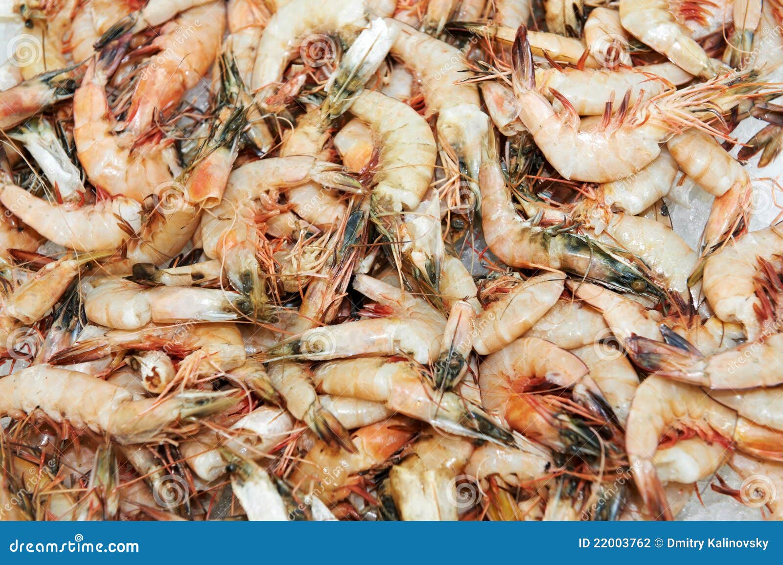 Fresh Frozen Seafood Shrimps Stock Photo - Image of delicious, gourmet ...