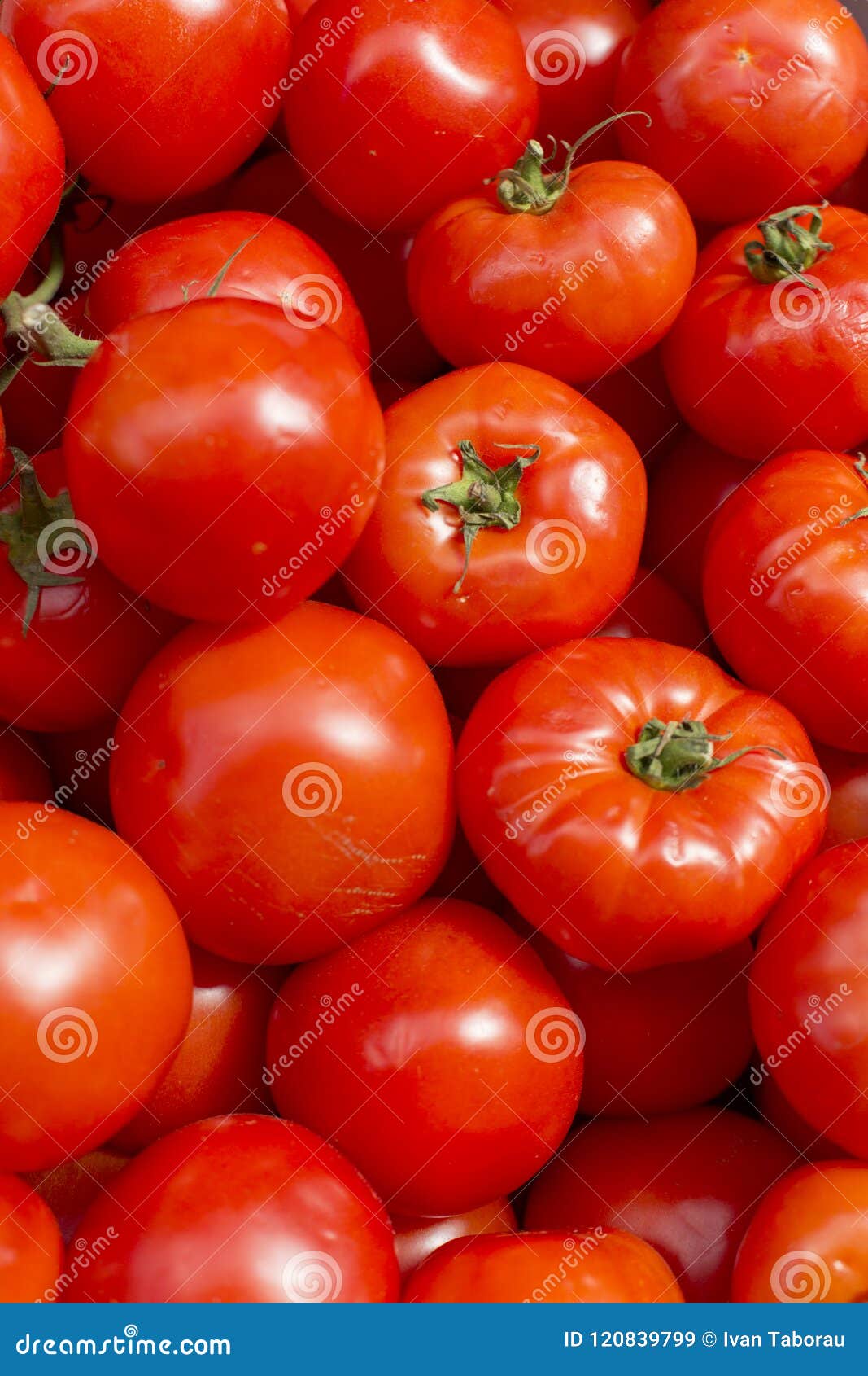 Fresh Red Tomato Abstract Fruit Colorful Pattern Texture Background ...