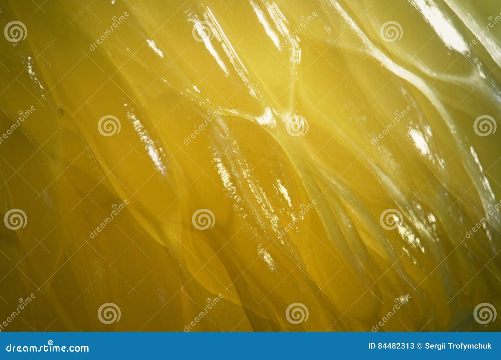 Fresh Fruit Citrus Orange Cell Structure by Microscope Stock Image ...