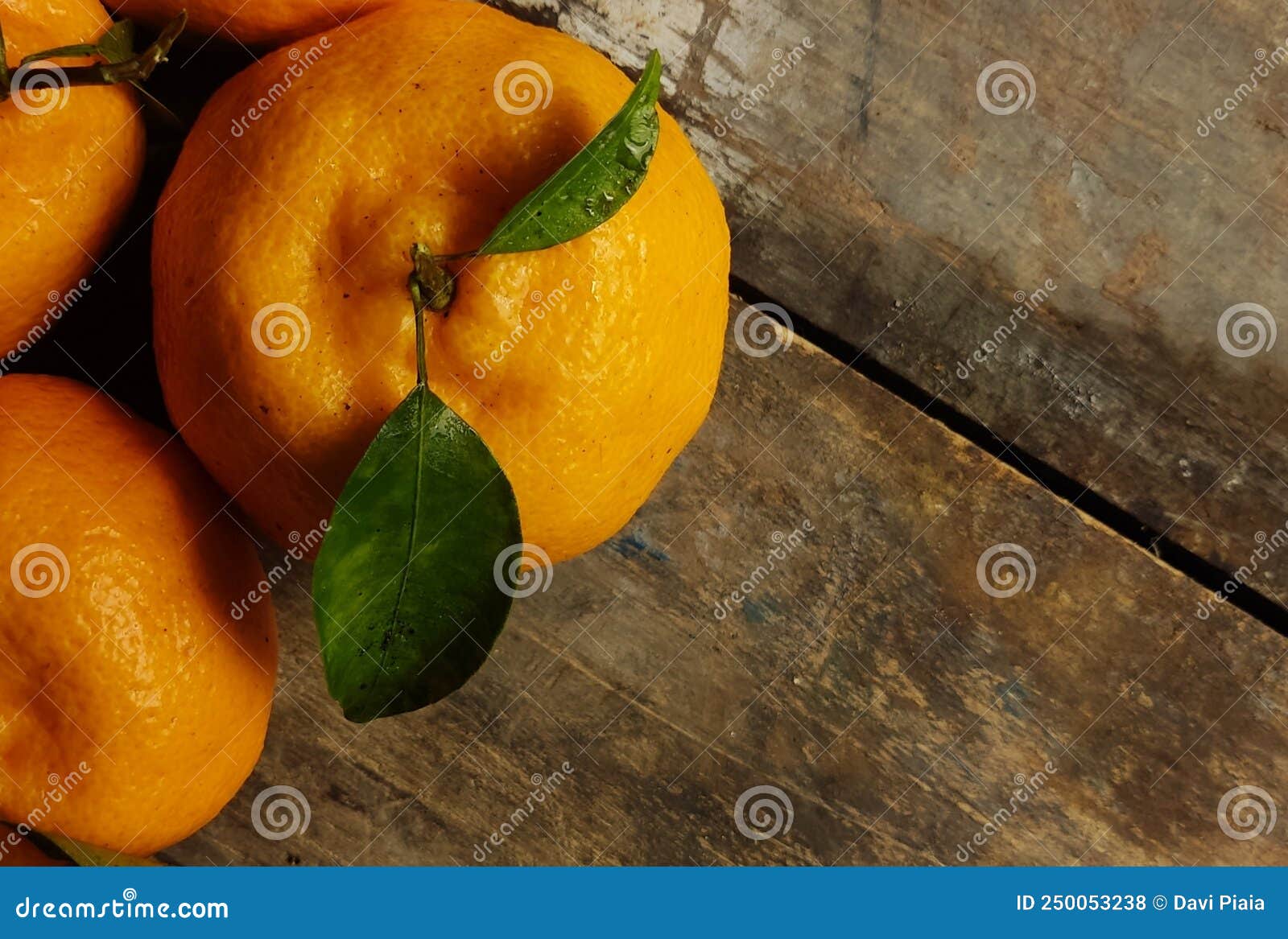 Fresh Fruit, Citrus, Ponkan Stock Photo - Image of flower, food: 250053238