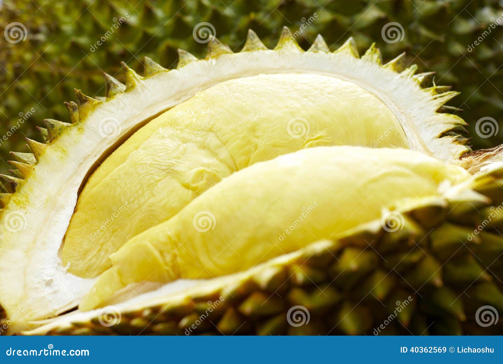 Fresh fruit, Durian stock image. Image of durian, healthy - 40362569