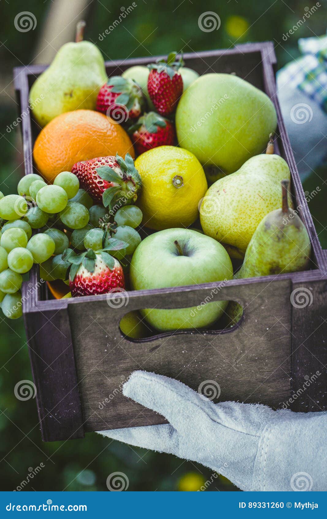 Fresh fruit and farmer stock photo. Image of growth, cultivation - 89331260